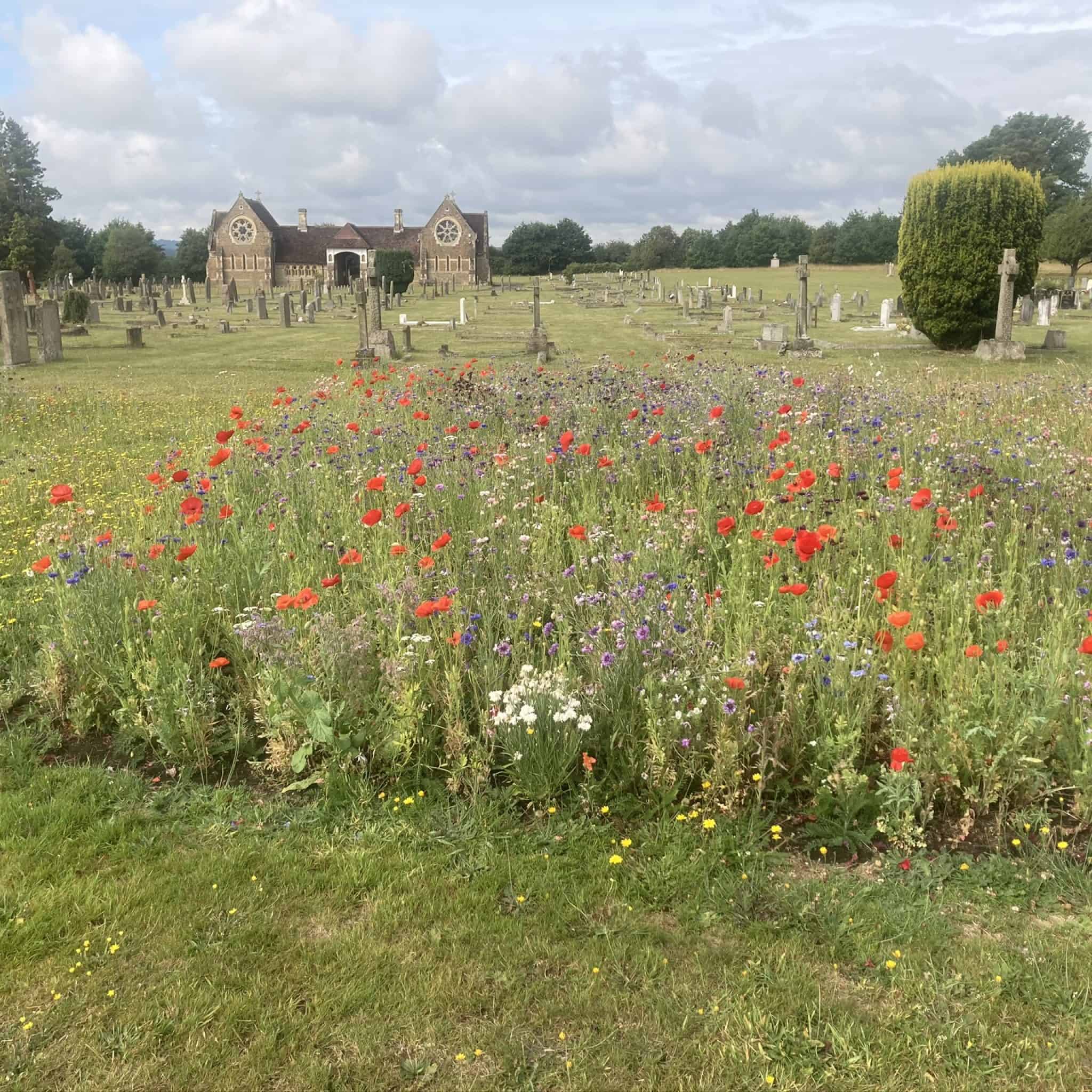 Natural Burial Areas - Godalming Town Council